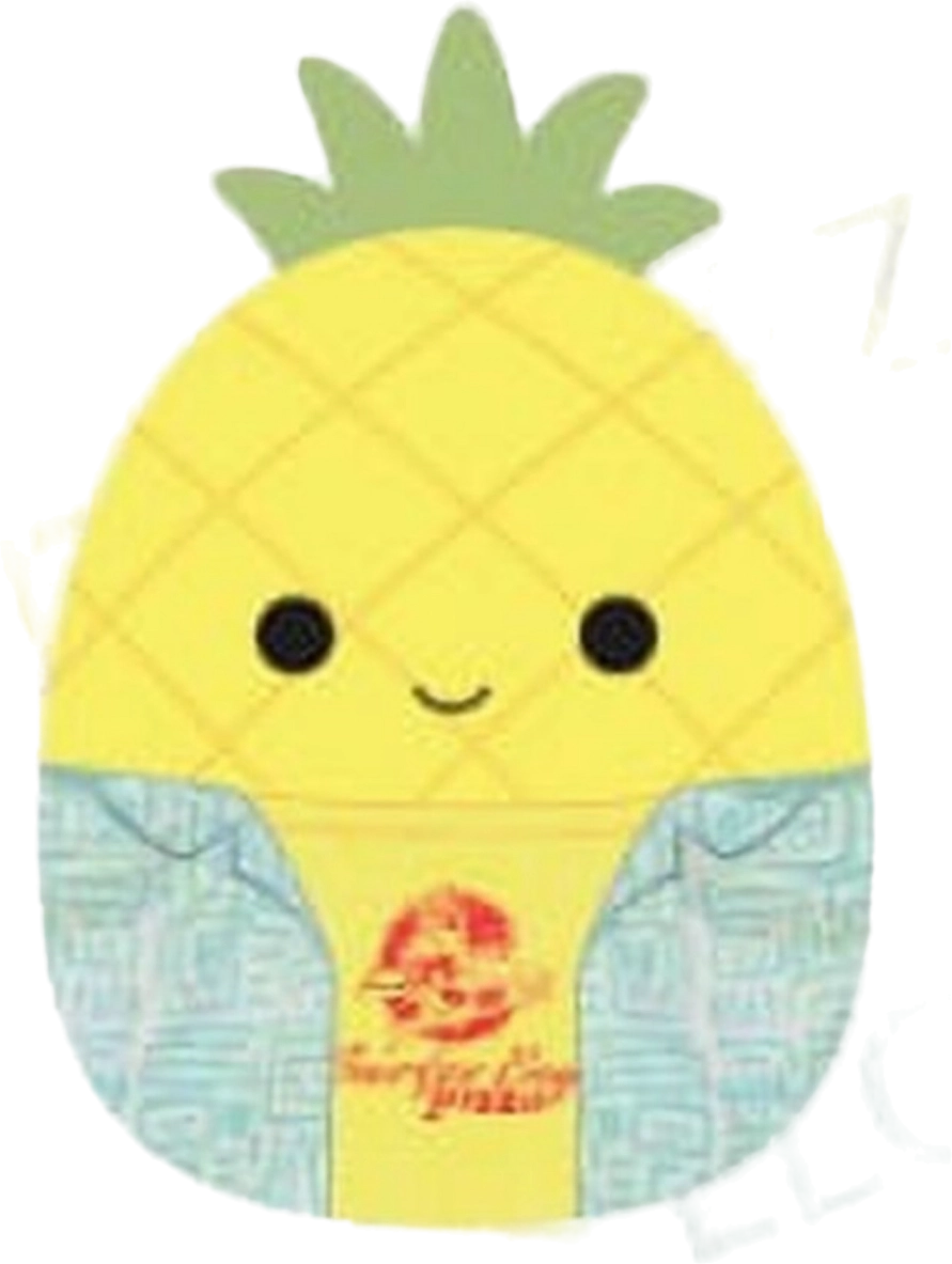 Surfer Boy Pizza the Pineapple Squishmallows Stranger Things | SquadApp