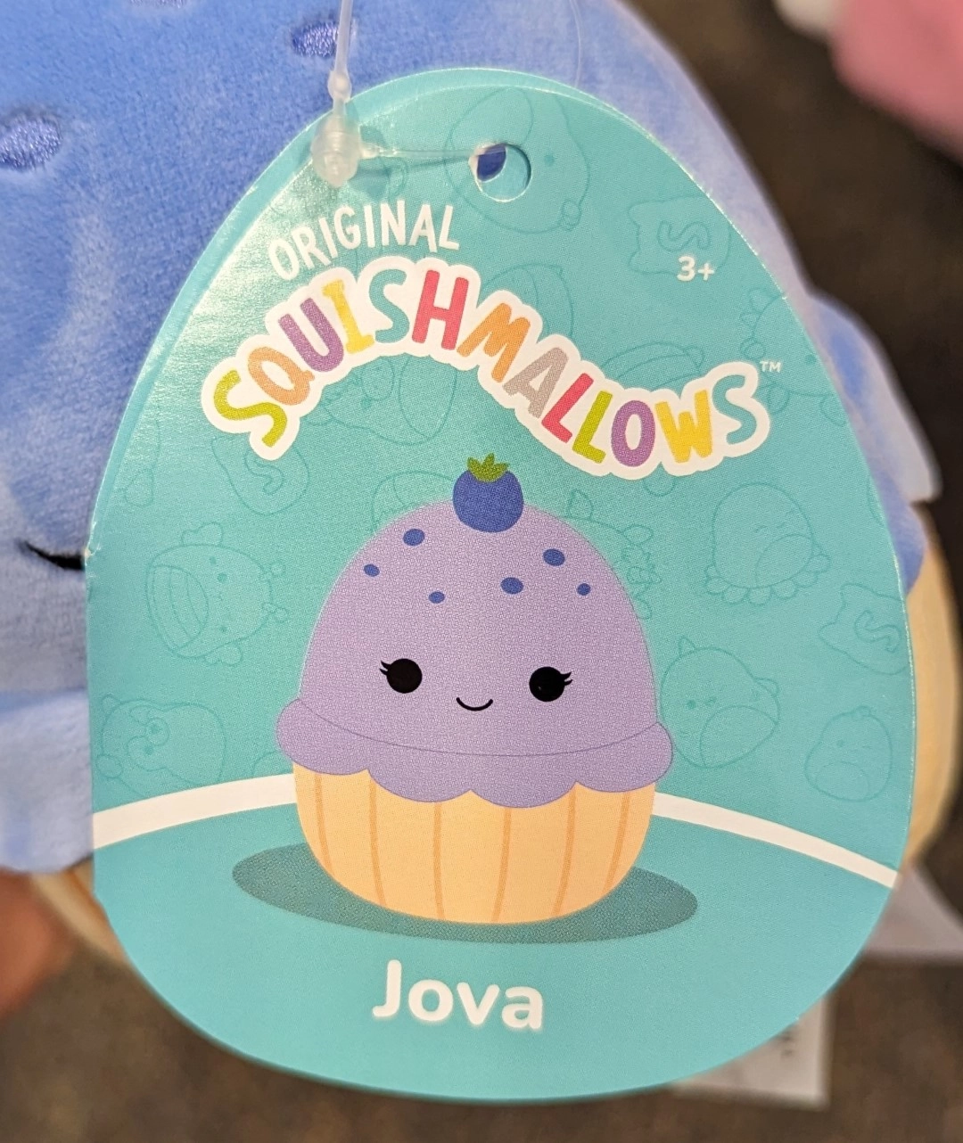 Jova the Blueberry Muffin Squishmallows Breakfast | SquadApp