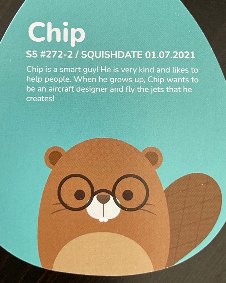 Chip (Glasses) the Beaver Squishmallows Wildlife | SquadApp