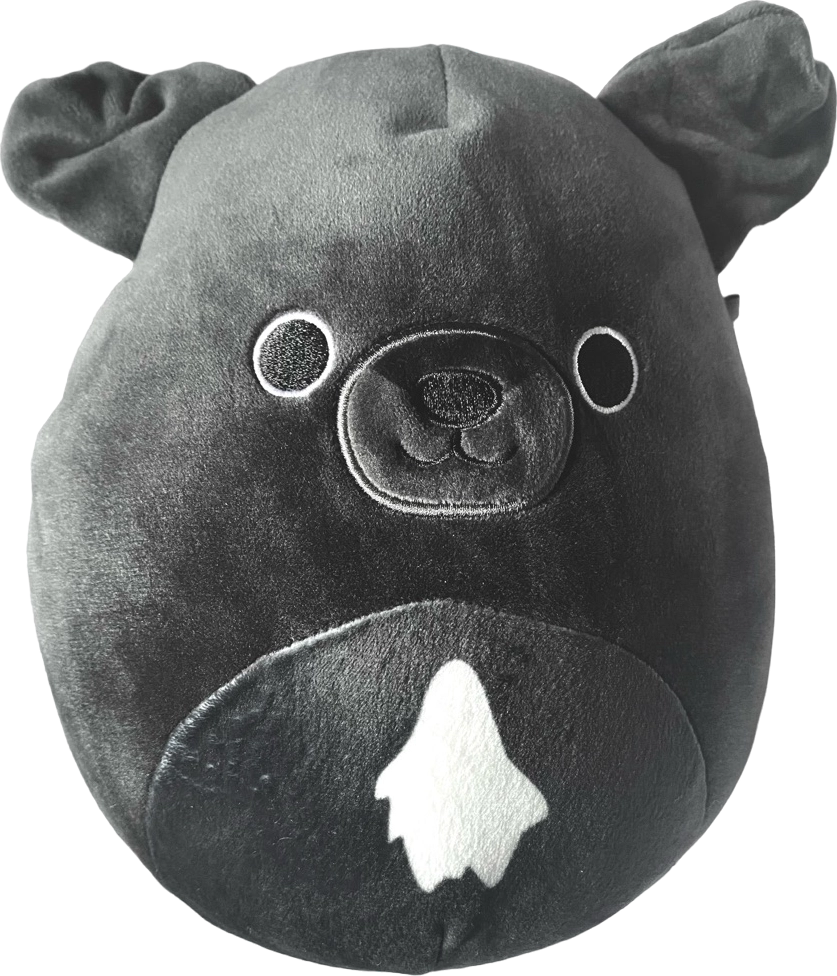 Natty the Retriever Mix (Dog) Squishmallows | SquadApp