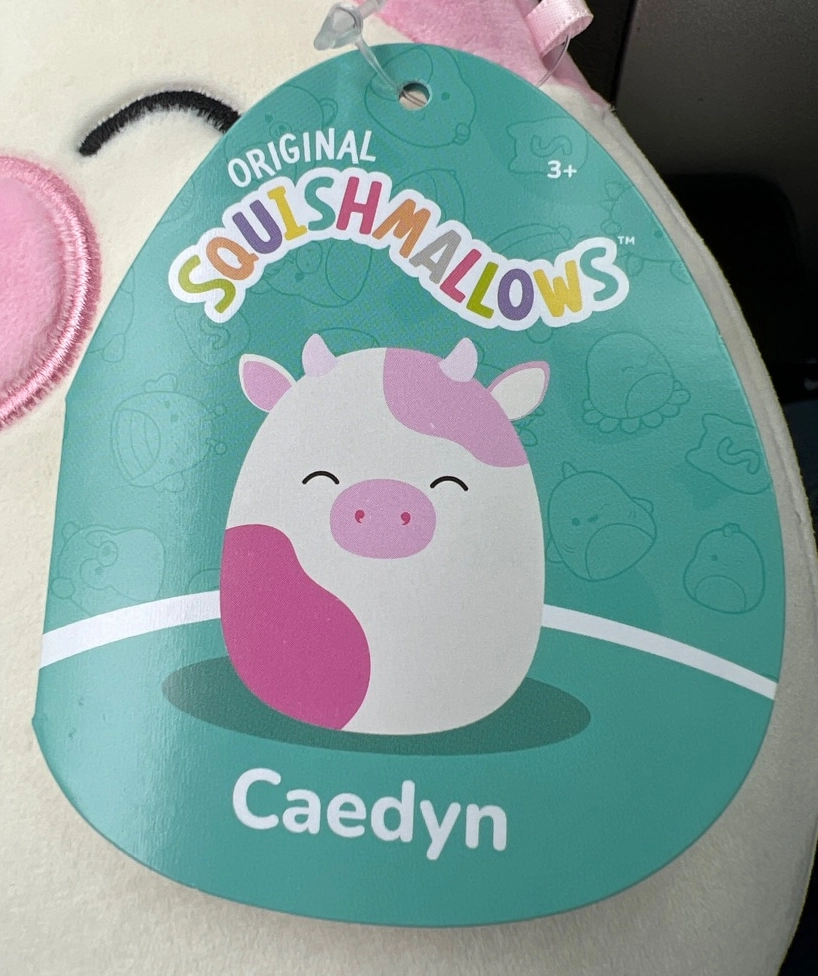 Caedyn (Hot Pink, Eyes Closed) the Cow Squishmallows | SquadApp