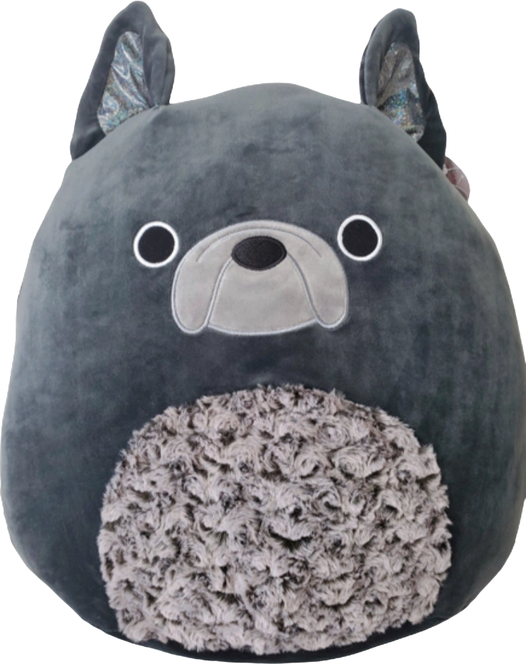 Rhett the French Bulldog (Dog) Squishmallows Valentines 2023 | SquadApp