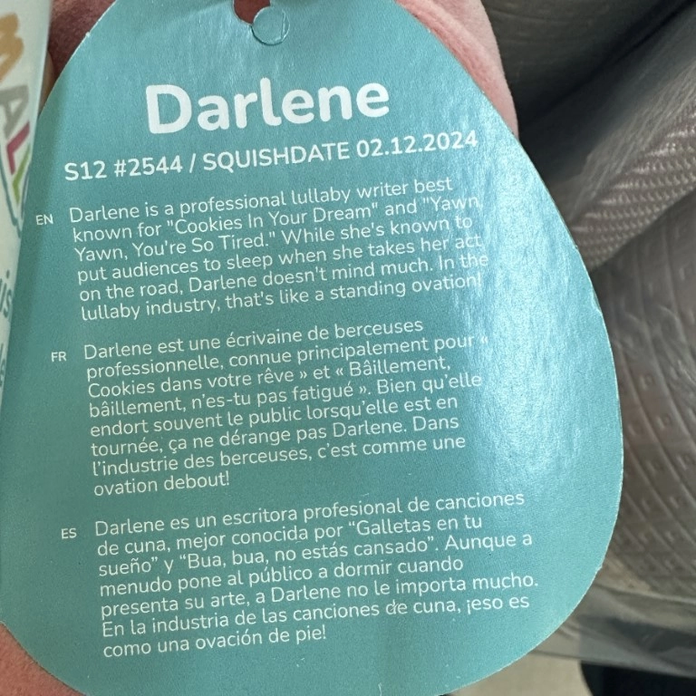 Darlene the Beaver Squishmallows Velvet | SquadApp