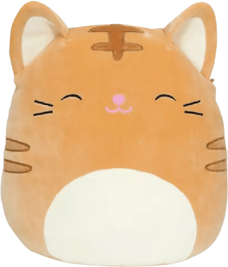Nathan the Cat Squishmallows Original | SquadApp